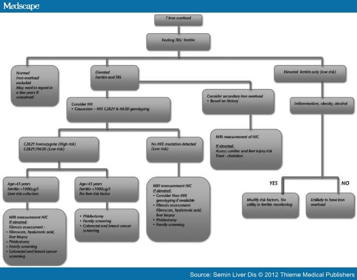 Natural History and Management of HFE-Hemochromatosis - Page 4