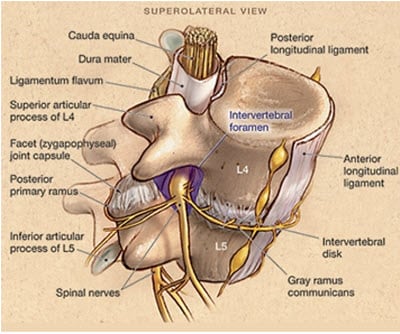 PainTV: Rationale for Treatment: Focus on Chronic Low Back Pain ...