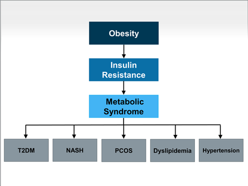 Comorbidities associated with childhood obesity – DR. TRYNAADH