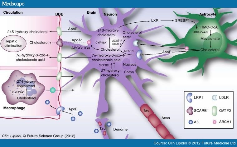 Lipids in Alzheimer's Disease and Their Potential for Therapy - Page 5