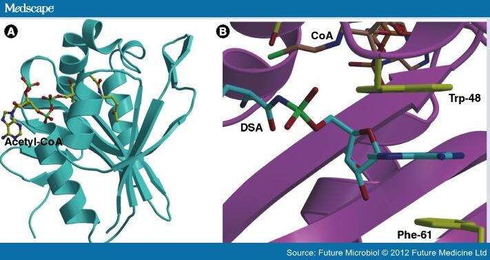 Microcin C: Biosynthesis and Mechanisms of Resistance - Page 7