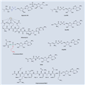 Microcin C: Biosynthesis and Mechanisms of Resistance - Page 2