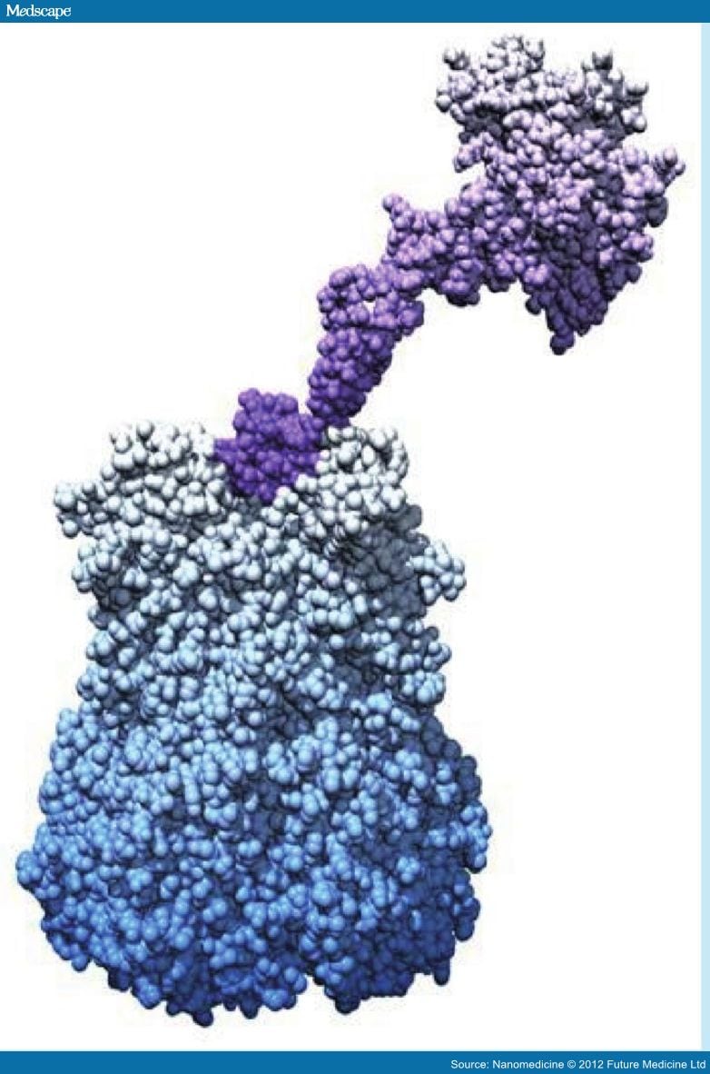 Adenovirus Interactions With Host Factors and Gene Therapy - Page 5