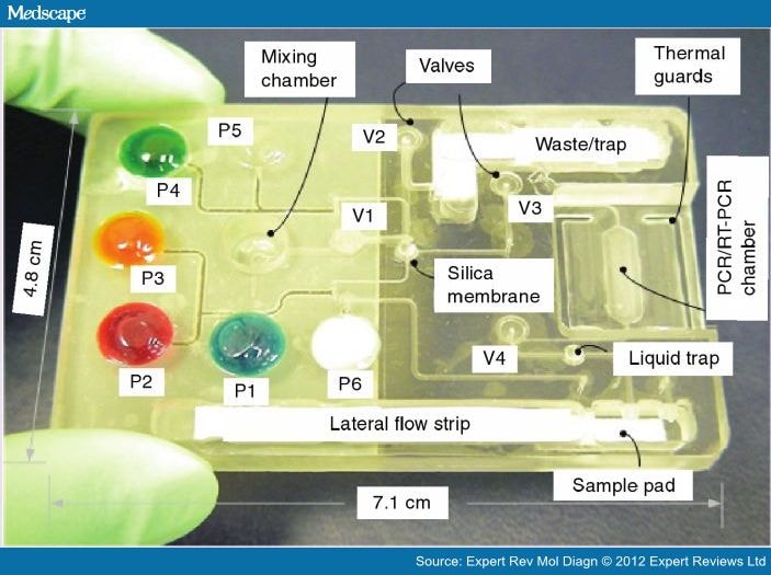 Chip-compatible Samples for Diagnosis of Infectious Diseases - Page 11