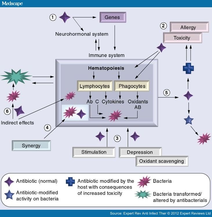 Immunomodulatory Effects of Antimicrobial Agents. Part I