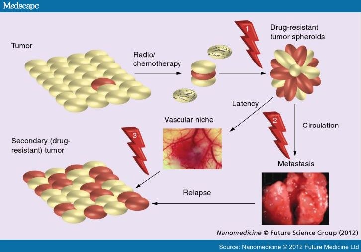 Nanomedicine, Cancer Stem Cells, and Drug Resistance - Page 2