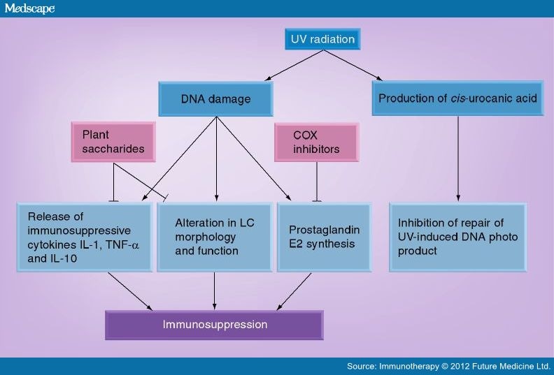 Immunotherapy in Nonmelanoma Skin Cancer - Page 2