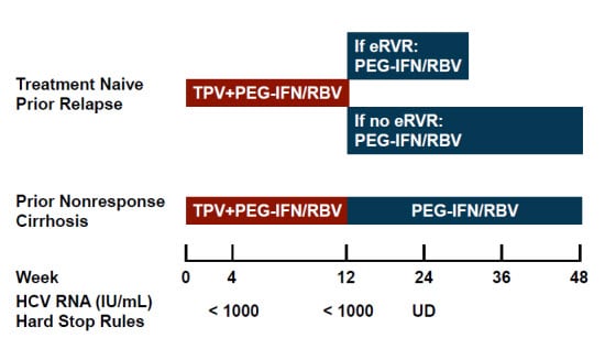 The New Antivirals in HCV Infection: Candidates for Triple Therapy