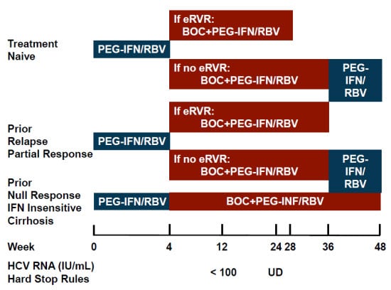 The New Antivirals in HCV Infection: Candidates for Triple Therapy
