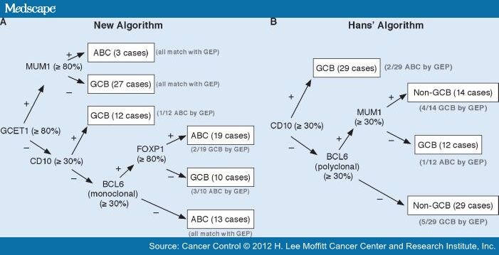 Diffuse Large B-Cell Lymphoma