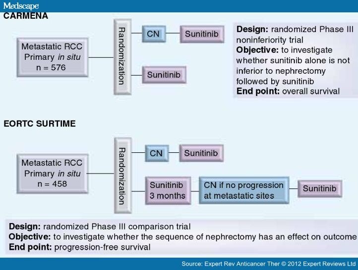 Cytoreductive Nephrectomy in Advanced RCC - Page 2