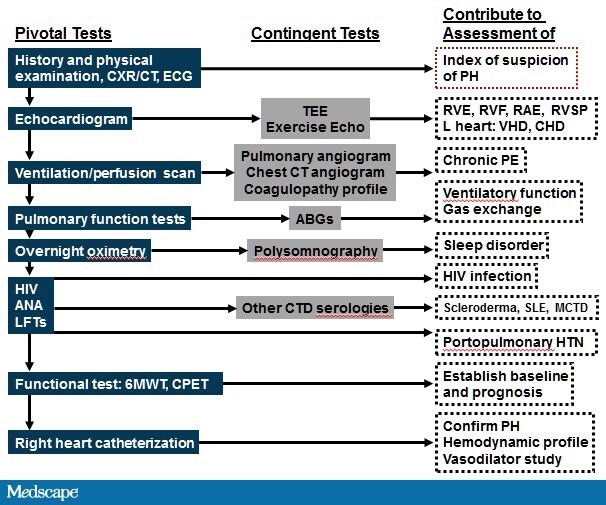 Taking Steps to Improve Patient Outcomes in PAH