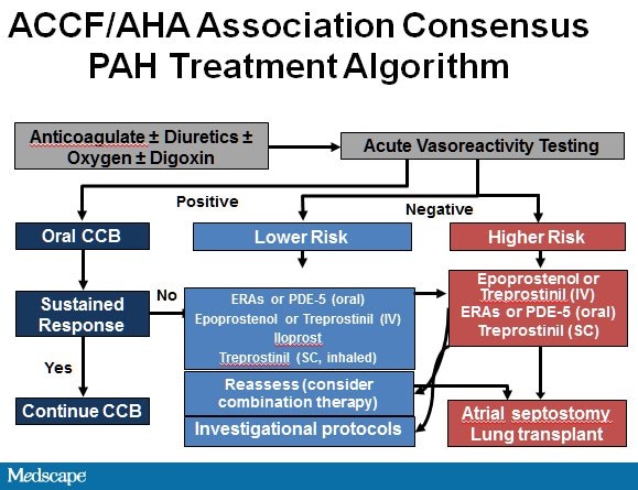 Taking Steps to Improve Patient Outcomes in PAH