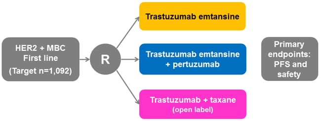 HER2 Therapy: Horizons and Advances