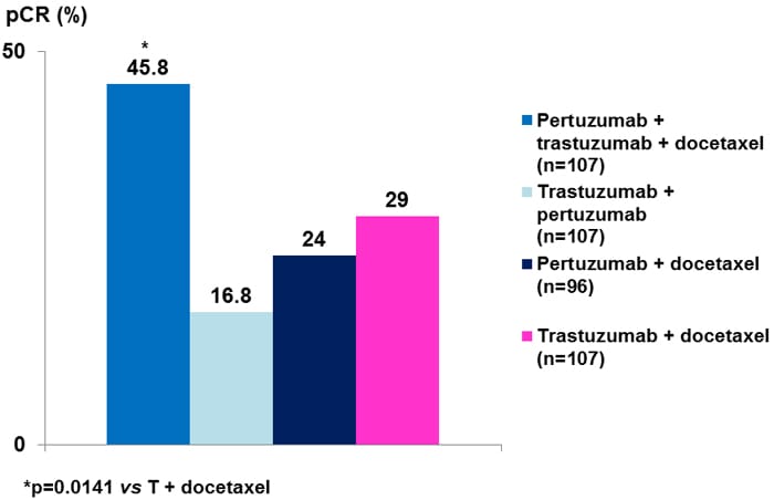 HER2 Therapy: Horizons and Advances