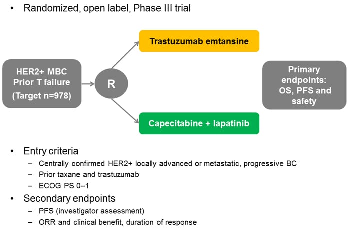 HER2 Therapy: Horizons and Advances