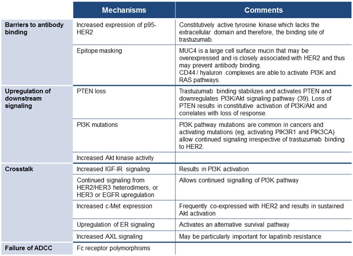 HER2 Therapy: Horizons and Advances