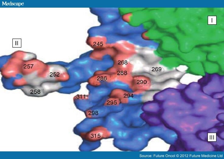 Peptide Vaccines and Cancer Immunotherapy - Page 6