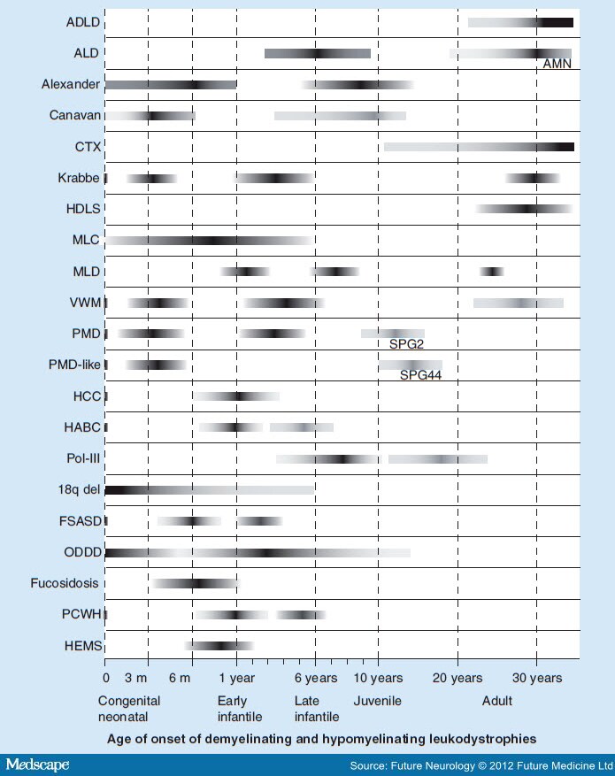 Advances in the Diagnosis of Leukodystrophies