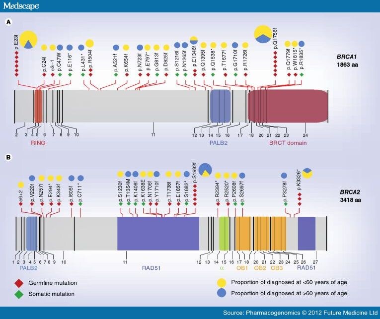 Impact of BRCA1 and BRCA2 Mutations in Serous Ovarian Cancer - Page 3