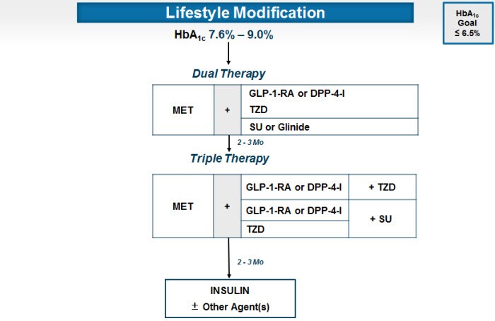 Your Turn: Test Your Skills at Applying the AACE/ACE Diabetes Algorithm ...