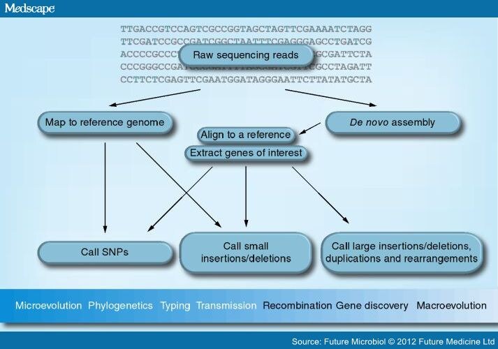 Mechanisms of Evolution of Bacterial Pathogens - Page 2
