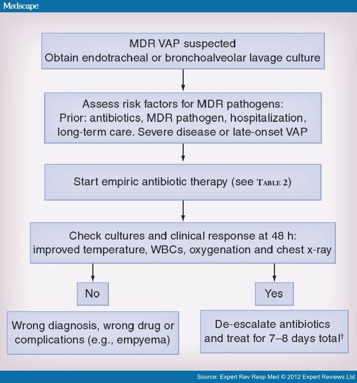 Management of VAP Caused by Multidrug-Resistant Pathogens - Page 3