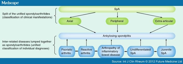 ASAS Classification Criteria for Spondyloarthritis - Page 6