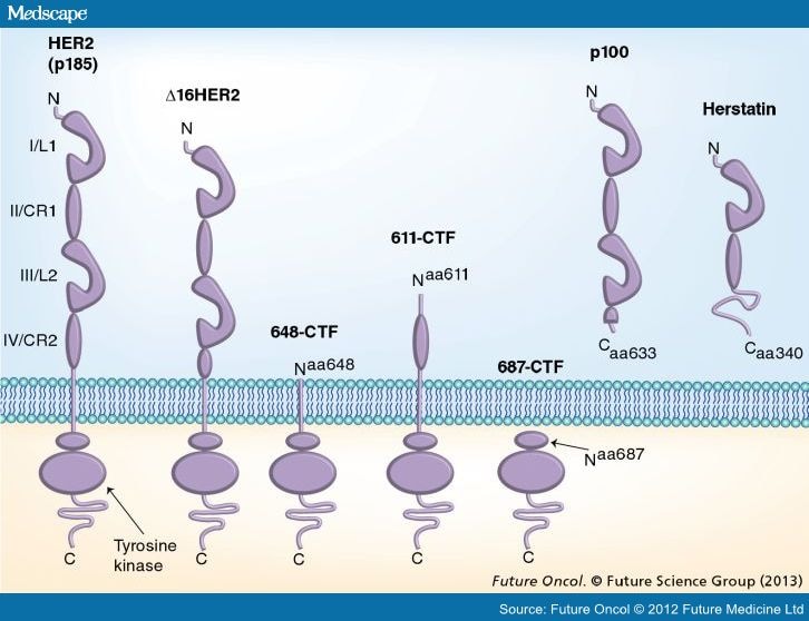Bringing Cancer Serological Diagnosis to a New Level - Page 4