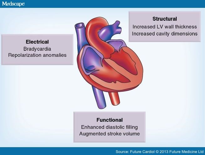 Exercise and Heart Disease - Page 5