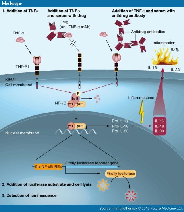 Anti-TNF-Α Biotherapies - Page 7