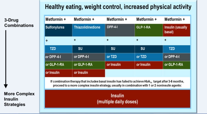 Case Challenges in Patient-Centered Application of Incretin Therapies ...
