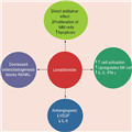Immunomodulatory Drugs in Multiple Myeloma - Page 2