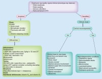 Diagnosis and Management of Pediatric Peripheral Neuropathies in ...