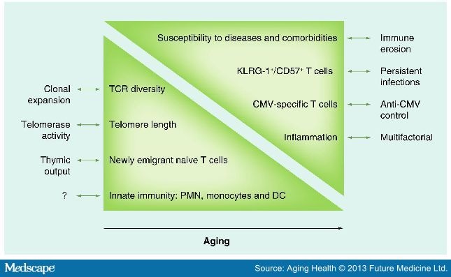 The Immune System in the Elderly - Page 2