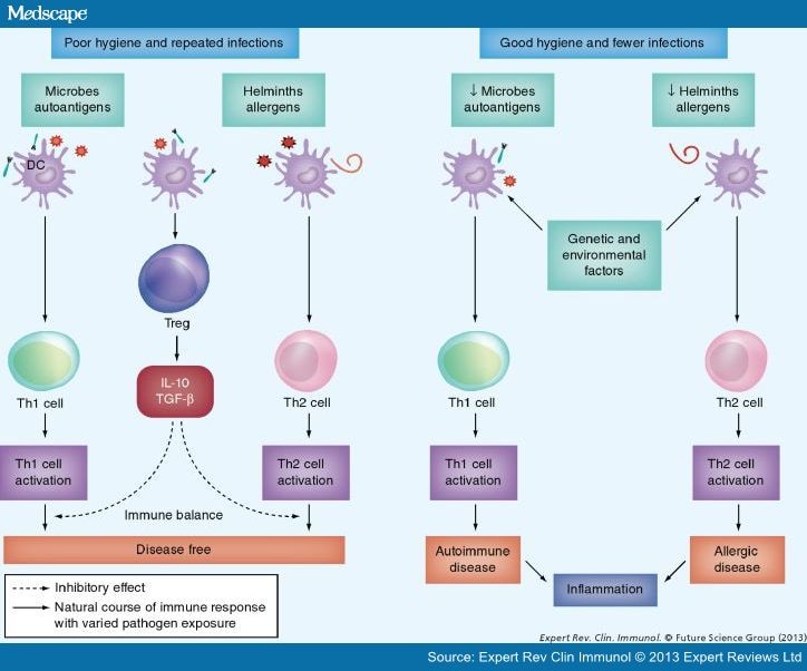 Immunopathogenesis of Allergic Disorders: Current Concepts - Page 4