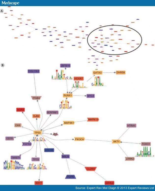 Molecular Markers in Breast Ductal Carcinoma In Situ - Page 9