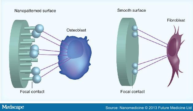 Nanotechnology to Drive Stem Cell Commitment