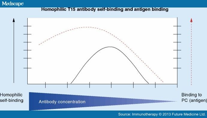 Homophilic Antibodies as Immunotherapeutics - Page 2
