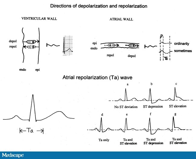 Which Would You Choose? - Page 2