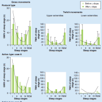 The Genetics of Segawa Disease