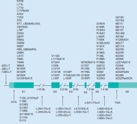 The Genetics of Segawa Disease