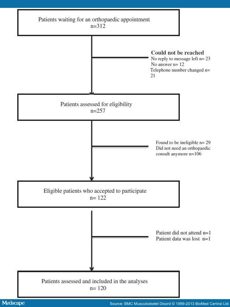 Validating an Advanced Practice Physiotherapy Model of Care - Page 4