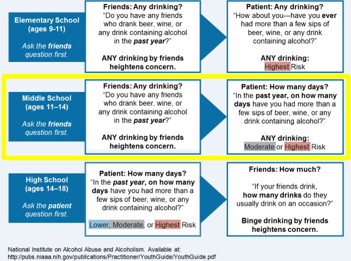 Alcohol Screening and Brief Intervention for Youth: A Practitioner’s Guide