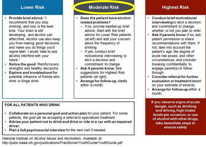Alcohol Screening and Brief Intervention for Youth: A Practitioner’s Guide
