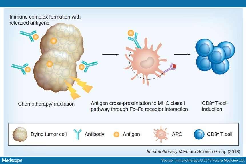Antibody-Based Therapy in Colorectal Cancer - Page 3