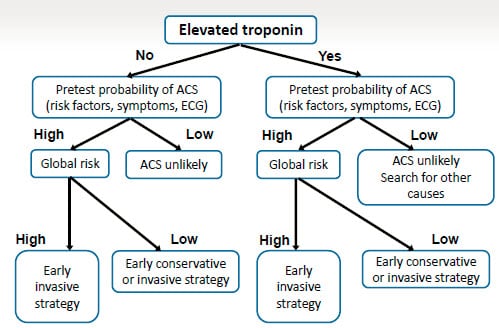 The Usefulness of Troponin in Clinical Decision Making in Acute ...
