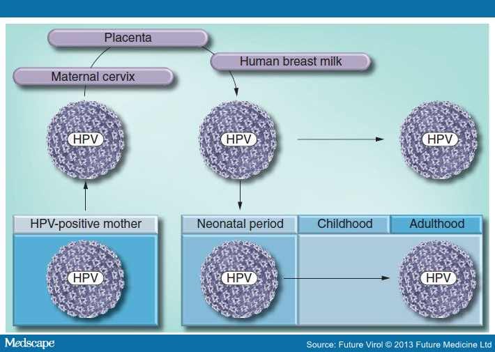 The 'Trojan Horse' Oncogenic Strategy of HPVs in Childhood - Page 6