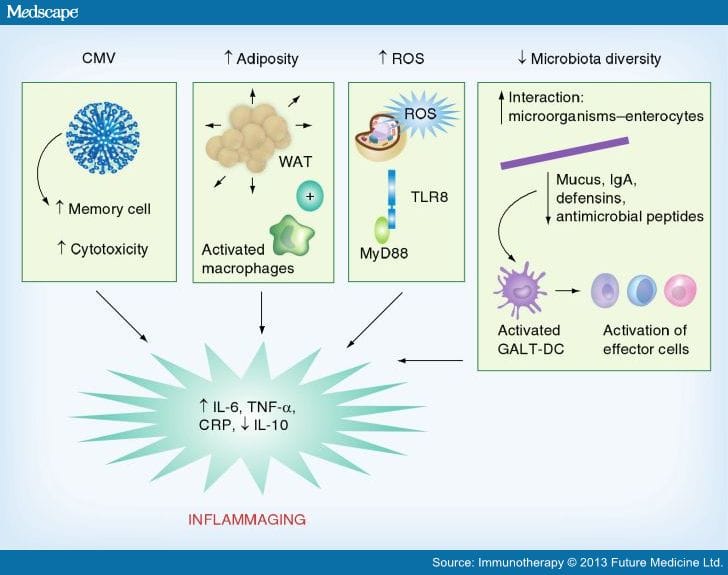 Can Exercise Be an Immunotherapy? - Page 7