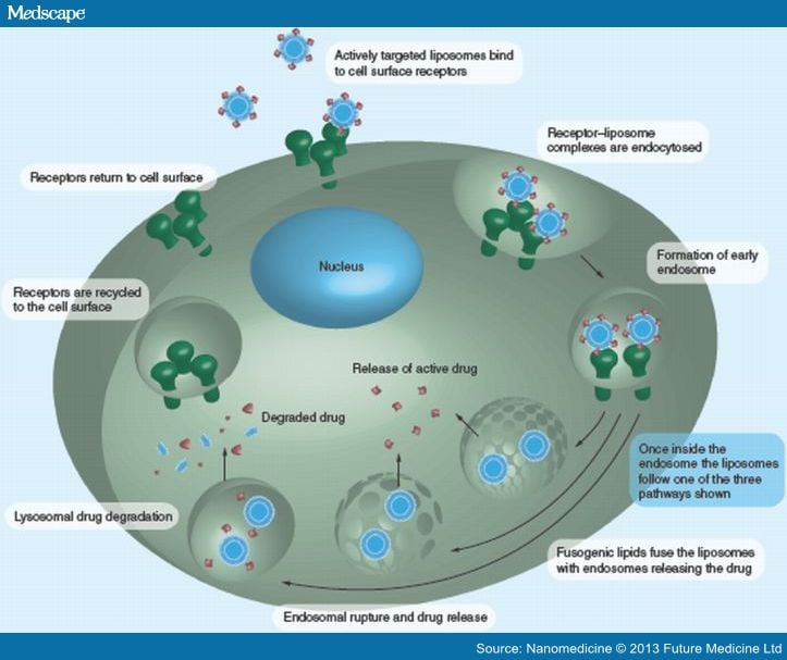 Current Trends in the Use of Liposomes for Tumor Targeting - Page 2